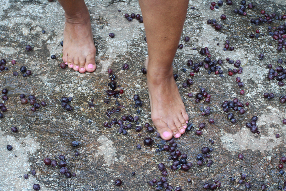Ikaria: Making Wine with My Feet! | Diane Kochilas