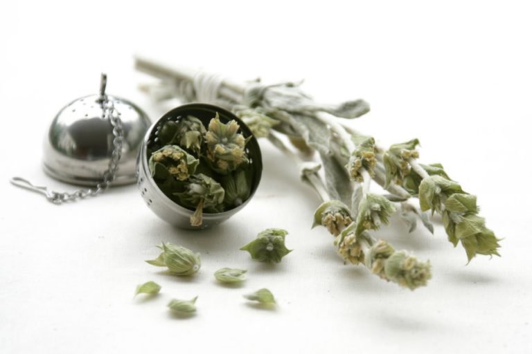 Ikaria’s Famous Drinking Herbs: 6 Teas and Natural Remedies from the ...