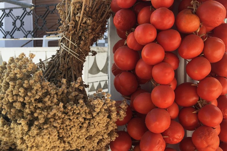 CHIOS, COLUMBUS & EDIBLE HISTORY | Diane Kochilas