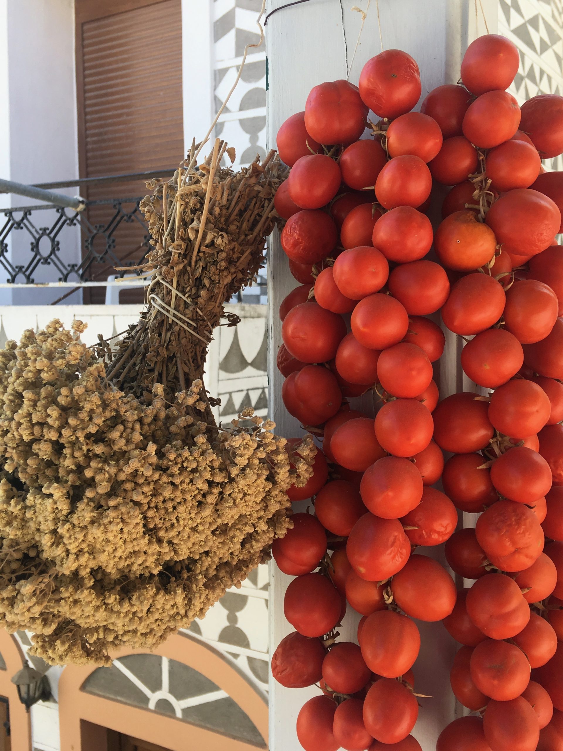 CHIOS, COLUMBUS & EDIBLE HISTORY | Diane Kochilas