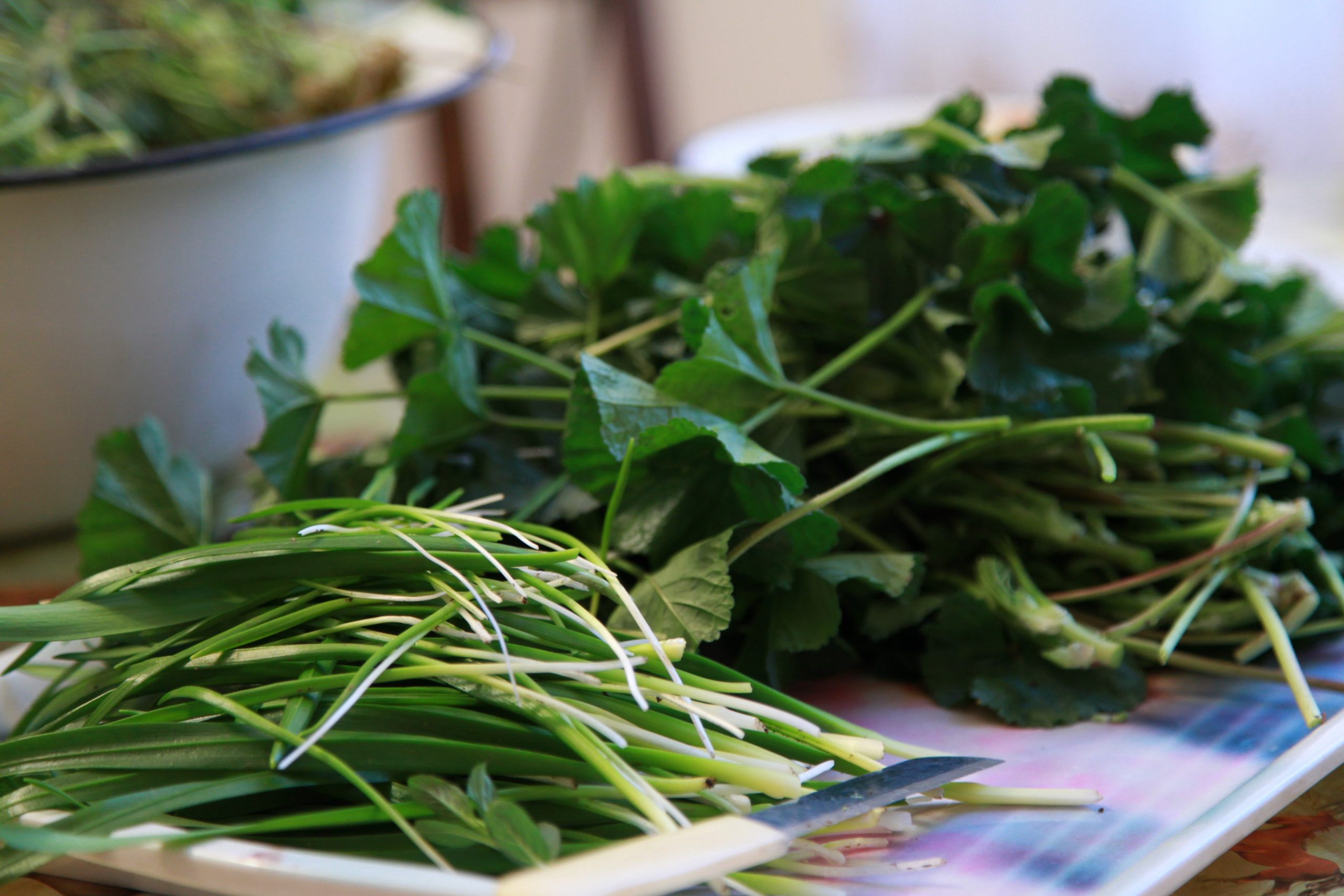 greens | Mediterranean Diet, Healthy Greek & Blue Zone Ikaria Longevity ...