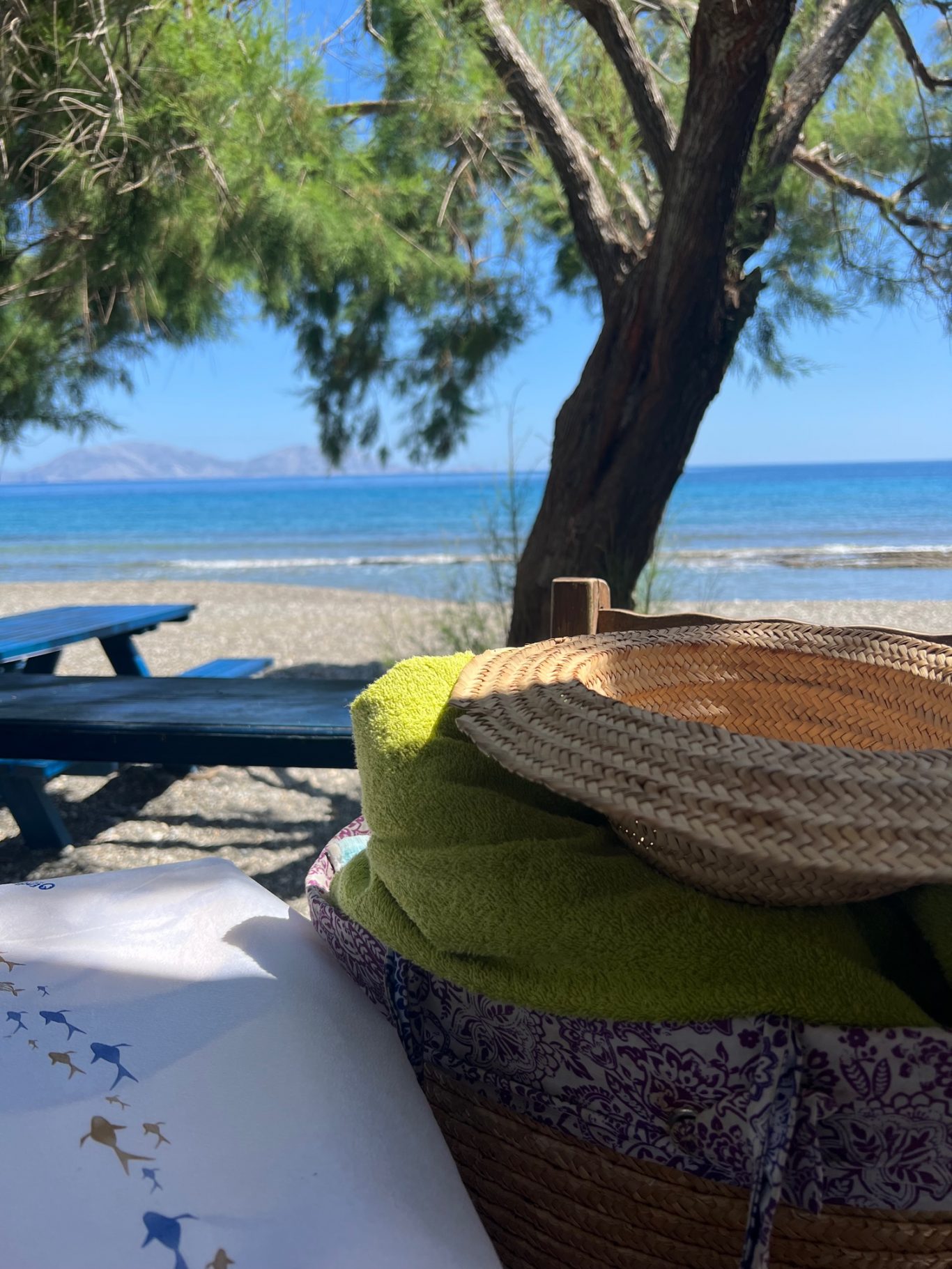 Ikaria Classes Add-On by Diane Kochilas