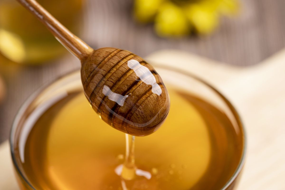 A Guide to Greek Honey | Diane Kochilas